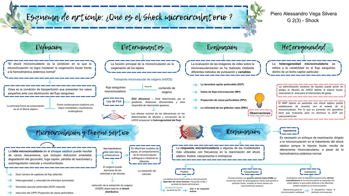 Esquema de Artículo: Qué es el Shock micro circulatorio | Piero Vega ...
