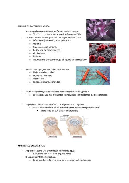 Resumen 138 Meningitis aguda Harrison Principios de medicina interna | Todo sobre Libros de ...