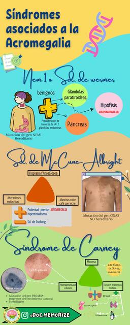Síndromes Asociados a la Acromegalia | Dr. Memorize | uDocz