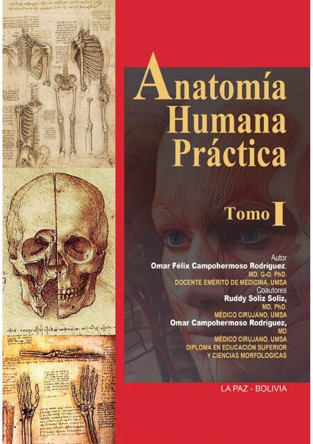 Anatomía Humana Práctica | Noel David Inca Paicho | uDocz