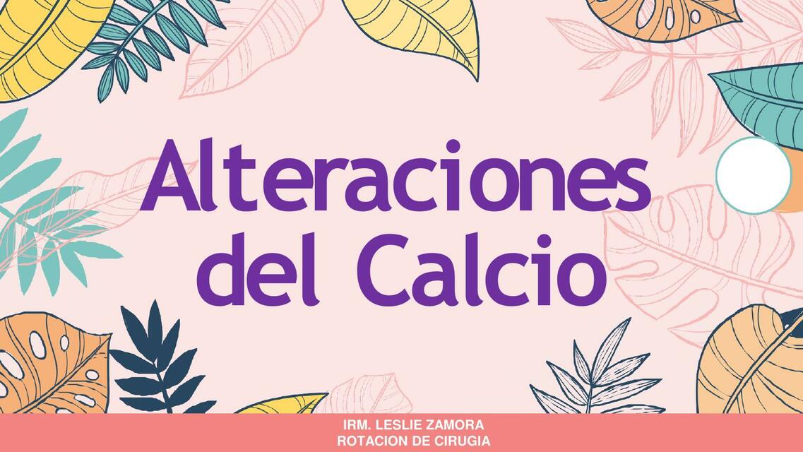 Alteraciones del Calcio | Leslie Zamora | uDocz