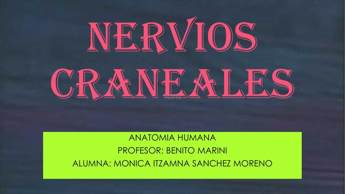 Nervios craneales | Mónica Sánchez Moreno | uDocz