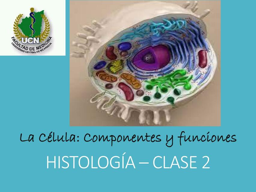 La célula: componentes y funciones | Ada Chavarria | uDocz