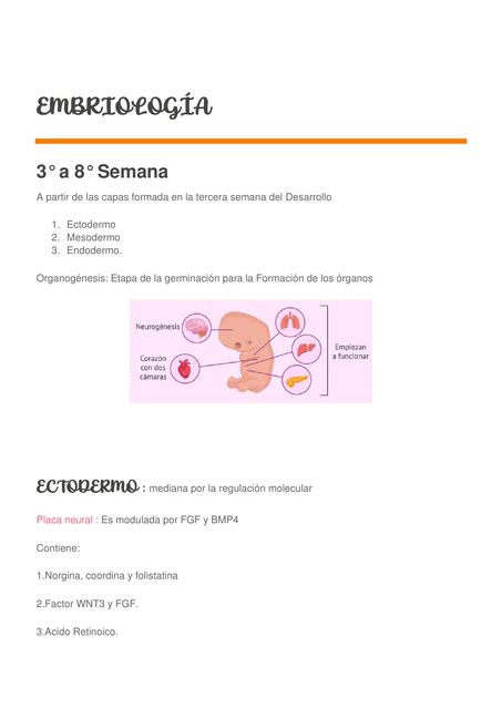 Tercera a Octava Semana -Embriología | Monse Bogado | uDocz