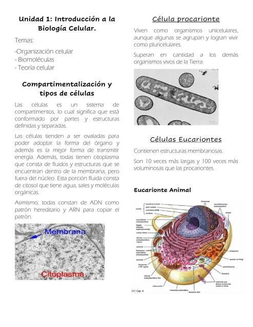 Introducción a la Biología Celular | Millaray Ruiz Castro | uDocz