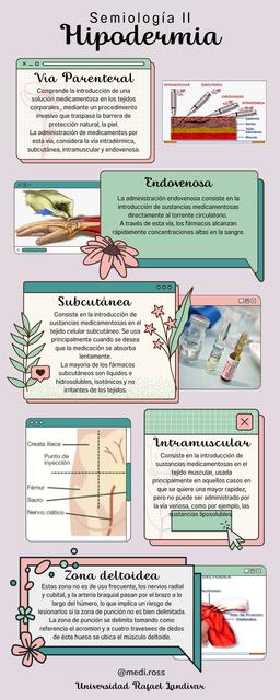 Hipodérmia | Dulce Rosales | uDocz