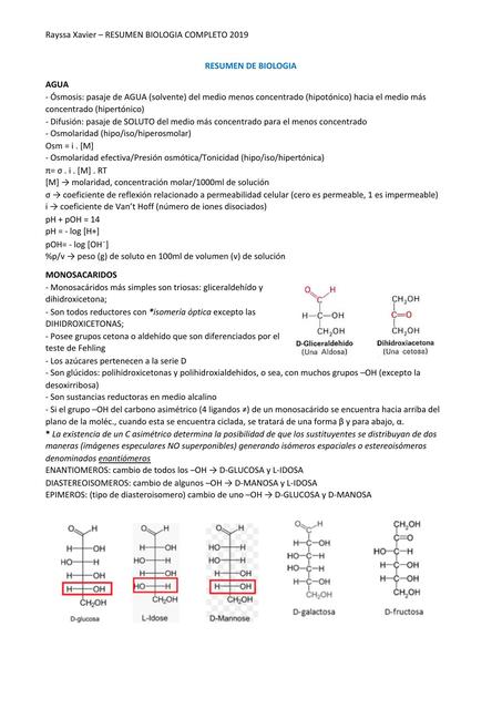 Resumen de Biología | Rayssa Xavier Xavier Alencar Joviano dos Santos ...