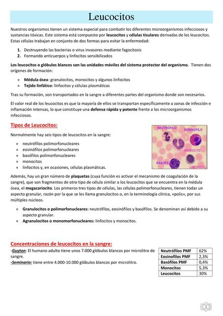 Leucocitos | More Lugo | uDocz