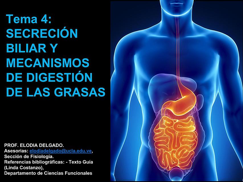 Secreción Biliar y Mecanismos de Digestión de Grasas I | Franco Isla ...