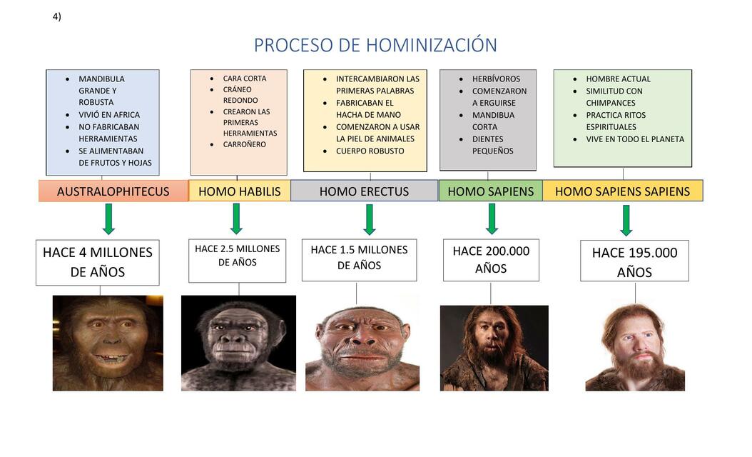 Resúmenes de Hominización | Descarga apuntes de Hominización