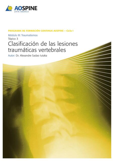 Clasificación de las Lesiones Traumáticas Vertebrales | Bea | uDocz
