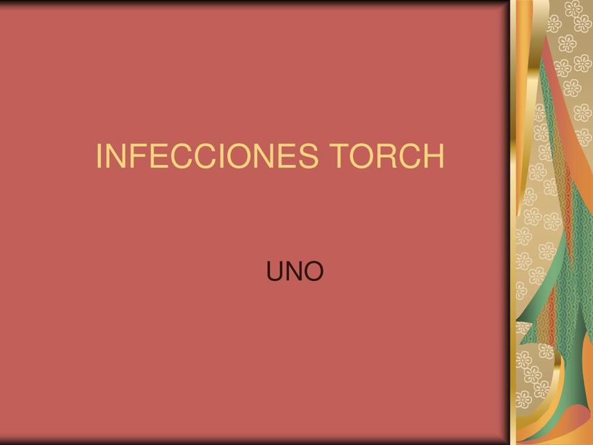 Infecciones Torch | Enfermería | uDocz