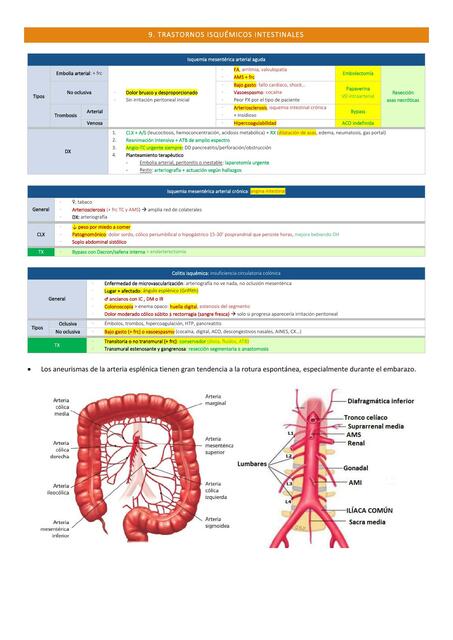 Trastornos Isquémicos Intestinales | RoseMedScience ( Rose Mary Favier ...