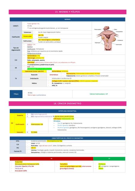 Endometrio | RoseMedScience ( Rose Mary Favier ) | uDocz