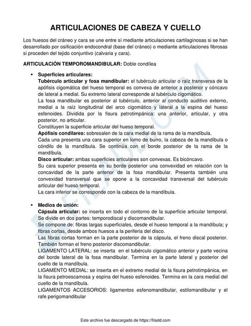 Articulaciones de cabeza y cuello | Susana Vergara | uDocz