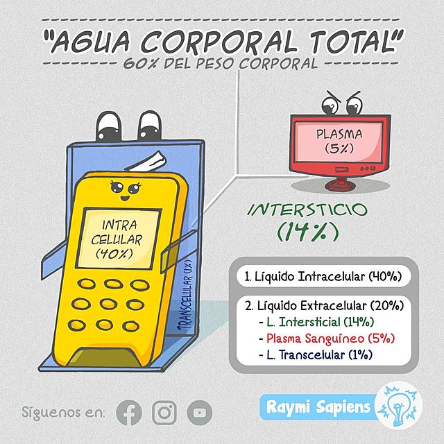 Compartimentos Corporales (Agua Corporal Total) | Raymi Sapiens | uDocz
