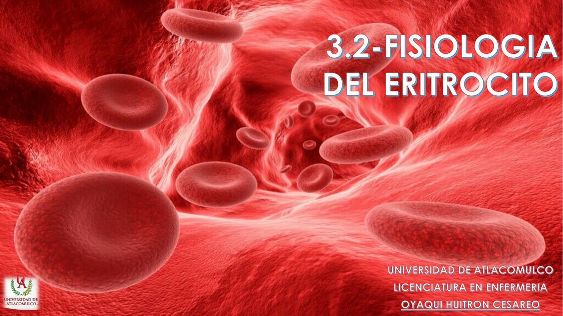 Fisiología del Eritrocito | Oyaky C. | uDocz