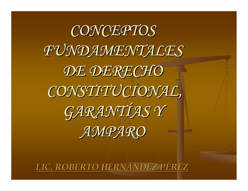 Conceptos Fundamentales de Derecho Constitucional, Garantías y Amparo ...