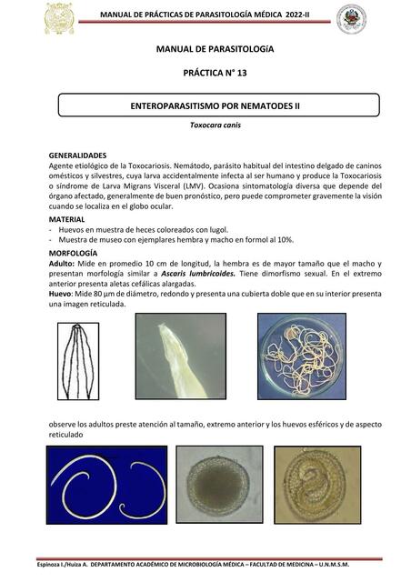 Manual de Parasitología | Kacole | uDocz