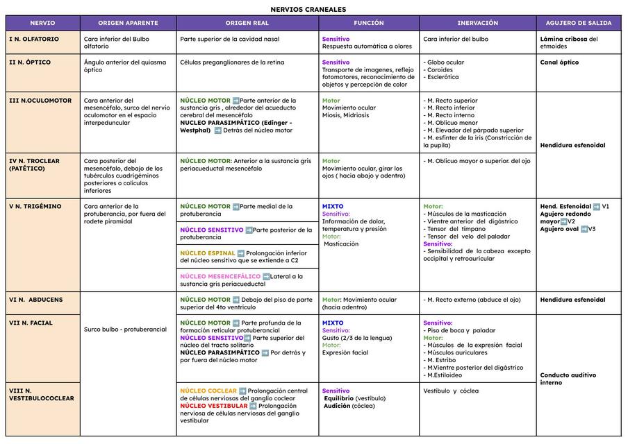 Nervios Craneales | diana pretel | uDocz