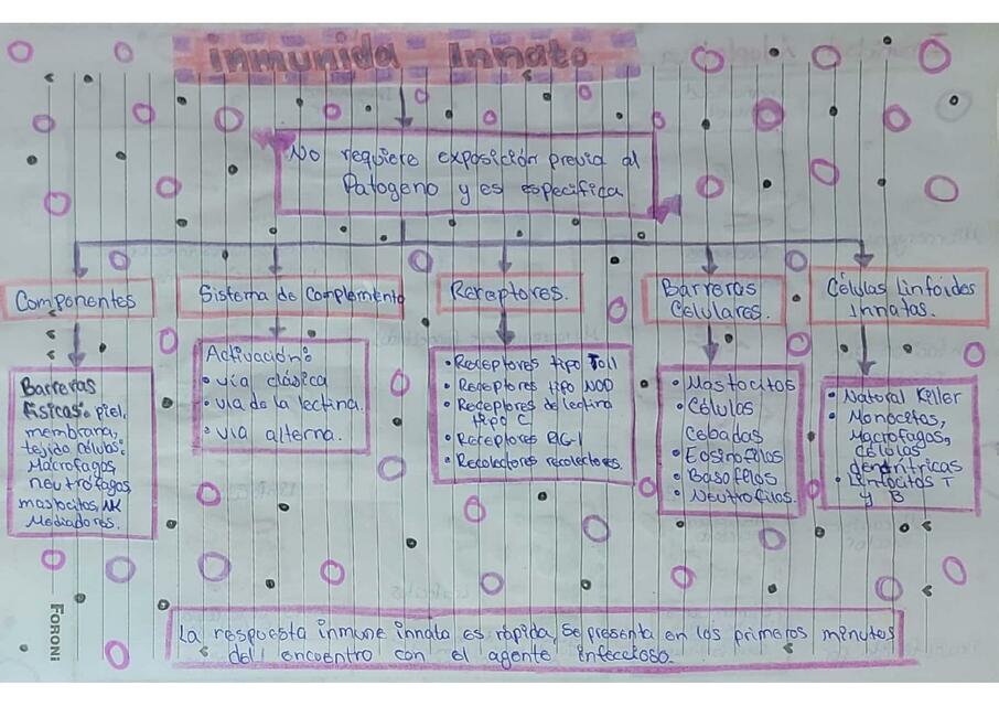 Inmunidad Innata | eun ki kim | uDocz