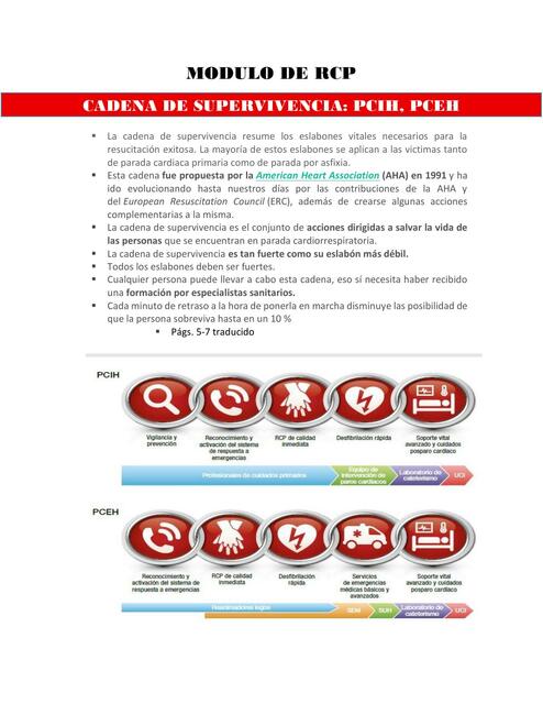 Módulo de RCP | nedra | uDocz