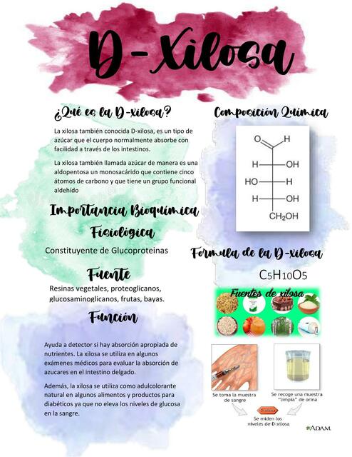 D- xilosa | Vanesa | uDocz