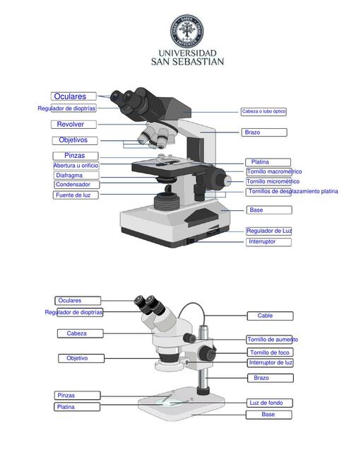 Laboratorio 2 microscopios esquemas resuelto | Geraldine Valdés | uDocz
