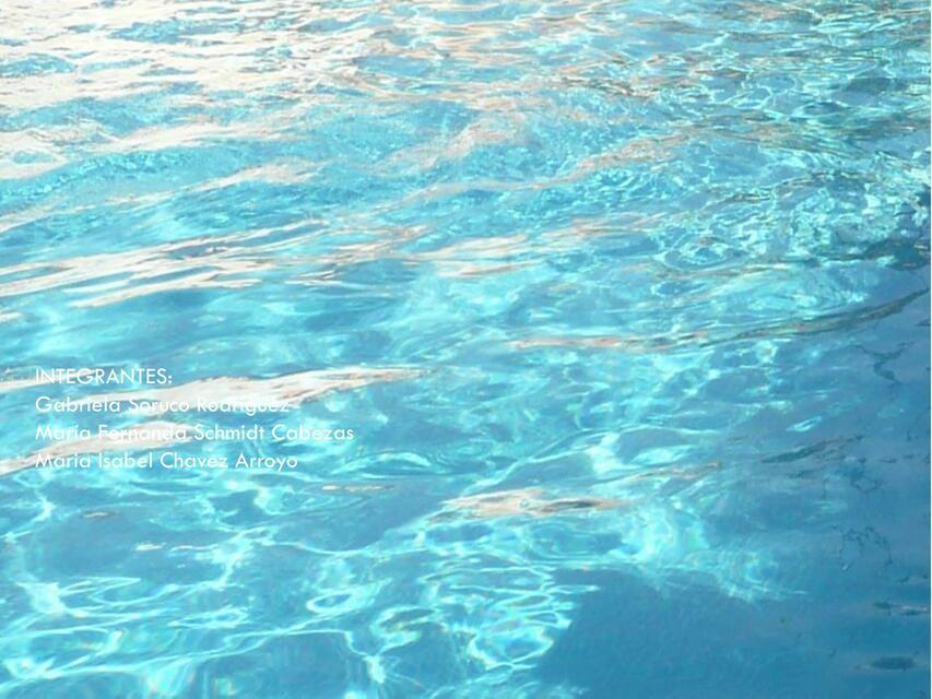 Métodos de purificación del agua | Maria Chavez Arroyo | uDocz