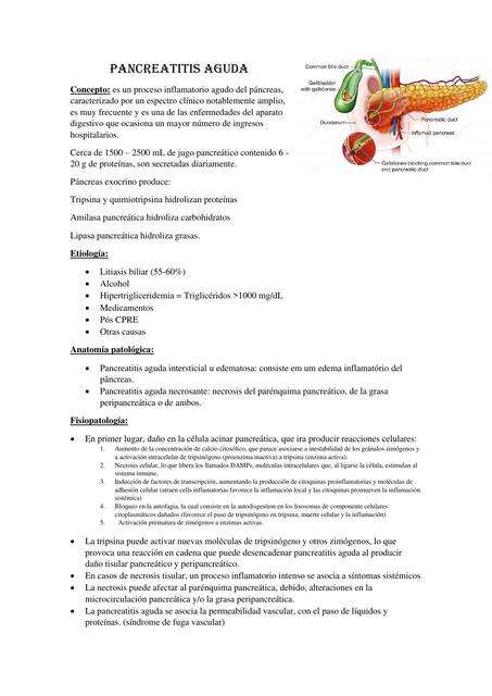 Pancreatitis aguda | Jessika Mayara | uDocz