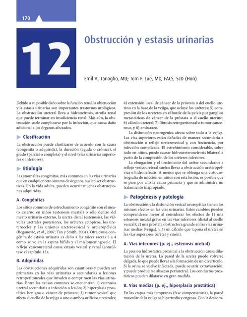 Obstrucción y Estasis Urinarias | Doménica Vásquez | uDocz