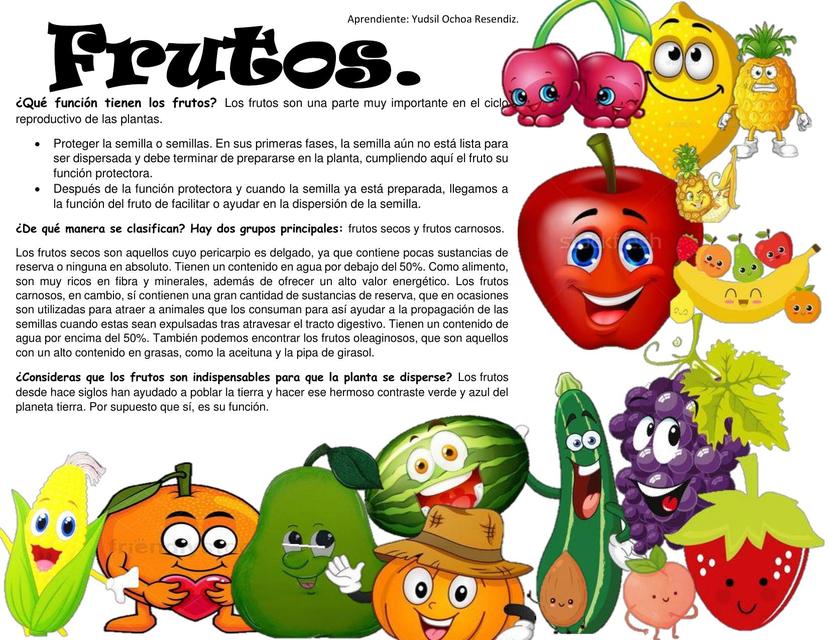 Frutos | Yudsil Ochoa R. | uDocz