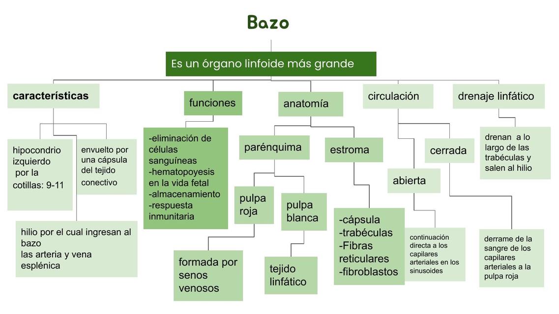 Bazo | nagsita ♡ | uDocz
