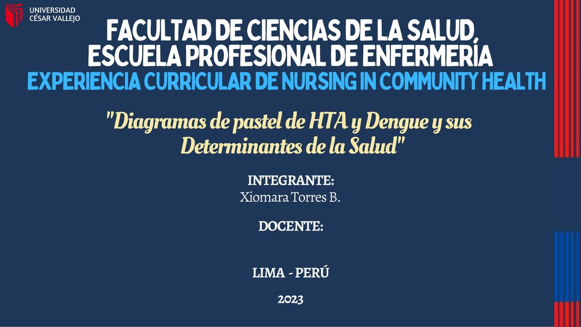Diagramas de pastel de HTA y Dengue Diagramas de pastel de HTA y Dengue