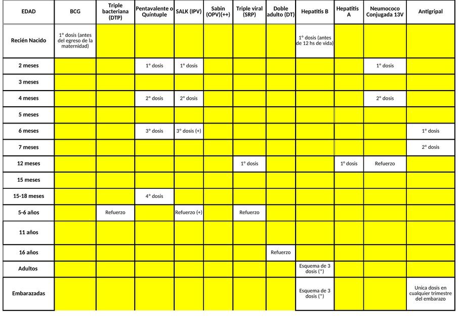 Calendario de vacunación argentina | Claudia Lazo | uDocz