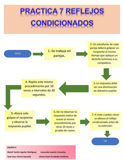 Reflejos Condicionados | Lisset Escobedo | uDocz