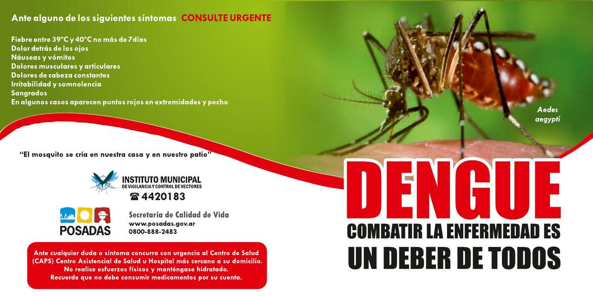 Dengue- Tríptico Informativo | Gabriel Chamcolla | uDocz