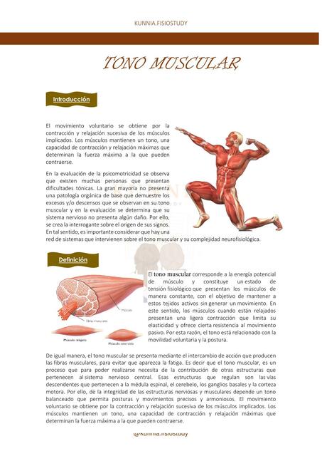 Tono Muscular | KUNNIAFISIOSTUDY | uDocz