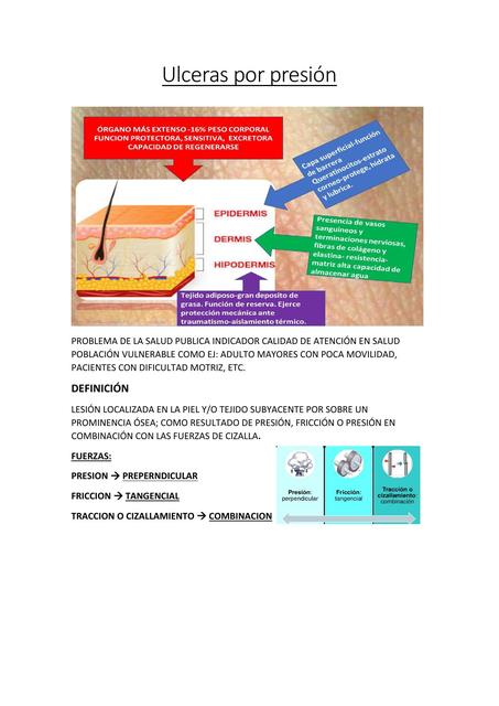 Ulceras por presión | Ariel Mamani | uDocz