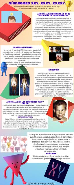 Síndromes XXY XXXY XXXXY | Valentina Heras | uDocz