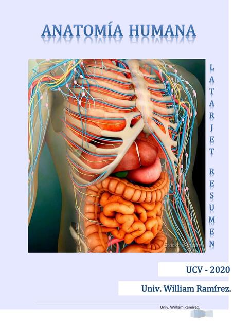 Anatomía Humana | Sarai Vargas Jaita | uDocz