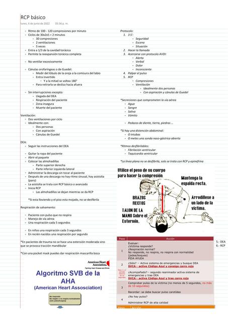 RCP básico | Mauricio Ocaña | uDocz