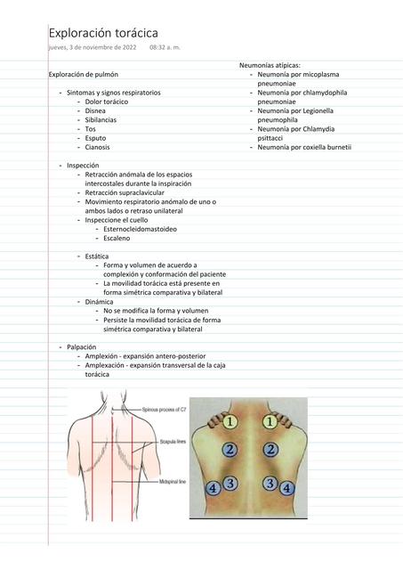 Exploración torácica | Mauricio Ocaña | uDocz
