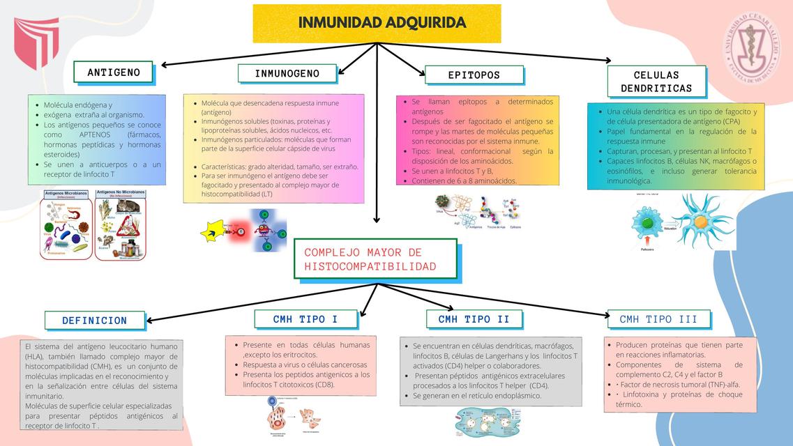 Inmunidad adquirida | maria ysabel santos flores | uDocz