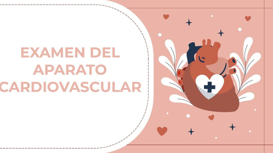 Examen Del Aparato Cardiovascular | Lupita | uDocz