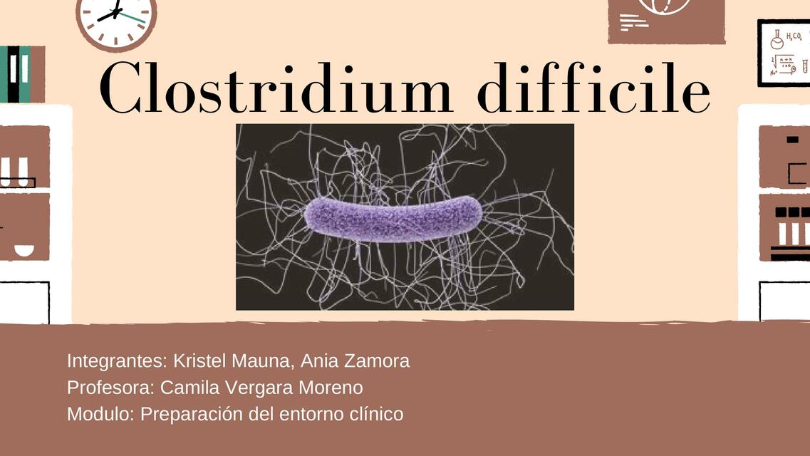 Clostridium difficile | aniasstudy | uDocz