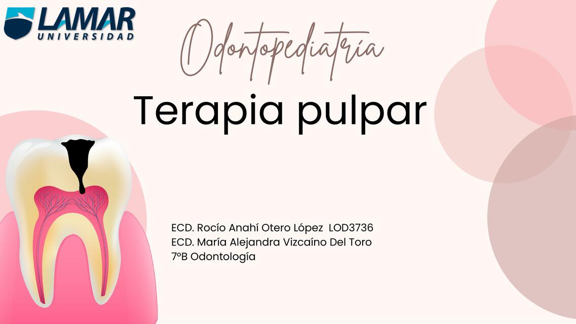 Terapia Pulpar | ANAHI OTERO | uDocz