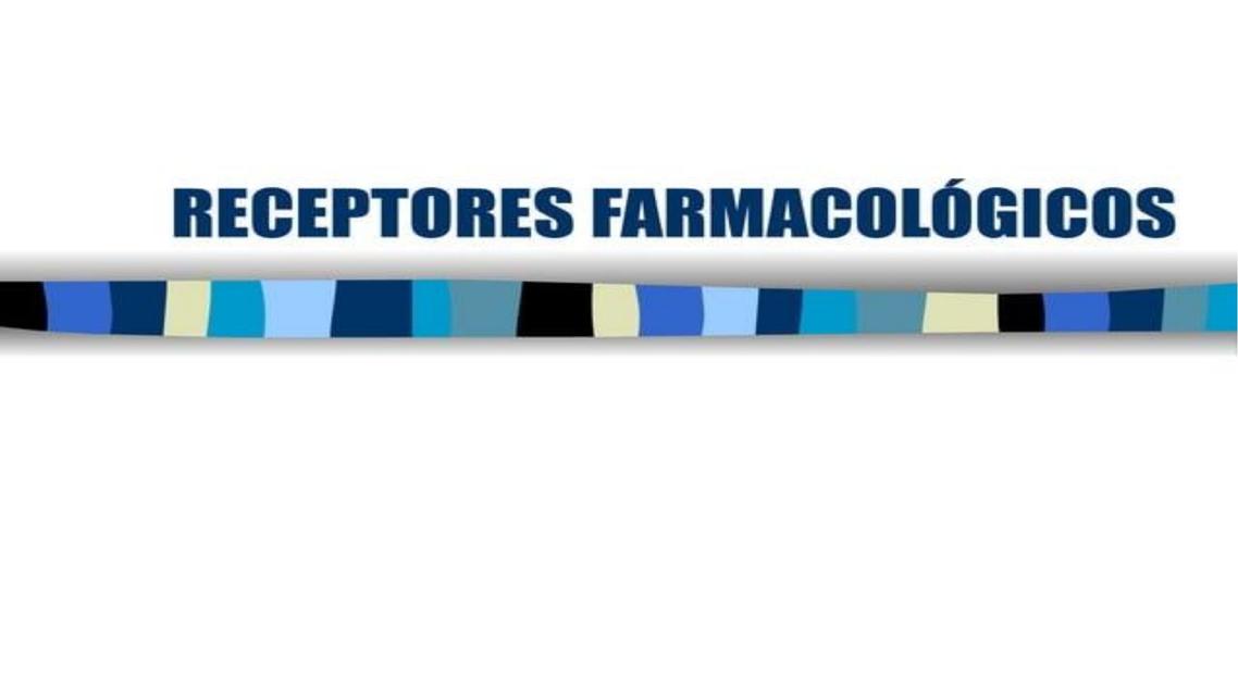 Receptores farmacológicos | Aura Ester Peréz Rada | uDocz