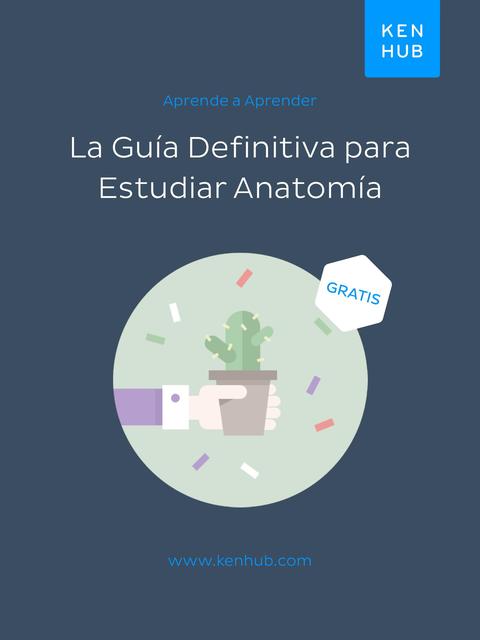 La guía definitiva para estudiar anatomía | Noe Huerta | uDocz