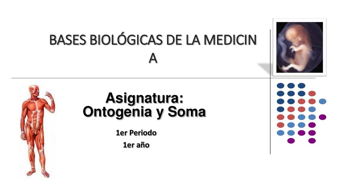 Ontogenia y Soma | Luis Angel Peña Despigne | uDocz